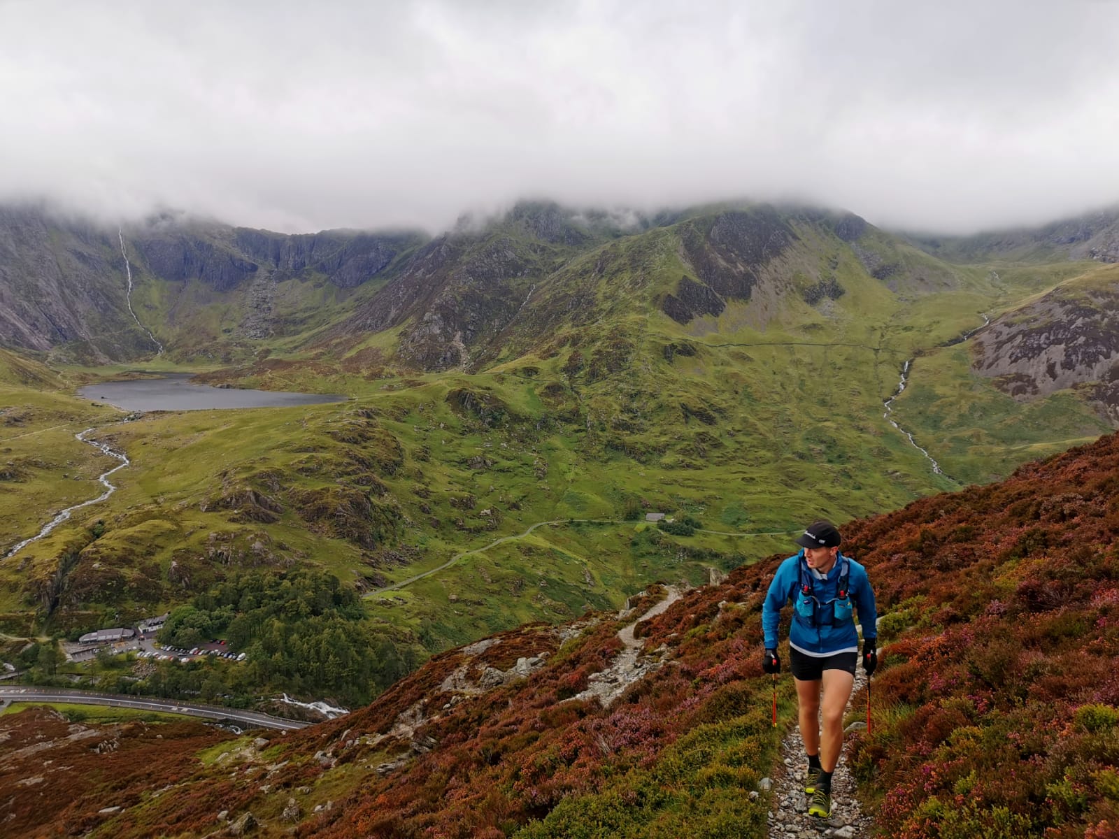 Team Member - Lewis Ryan