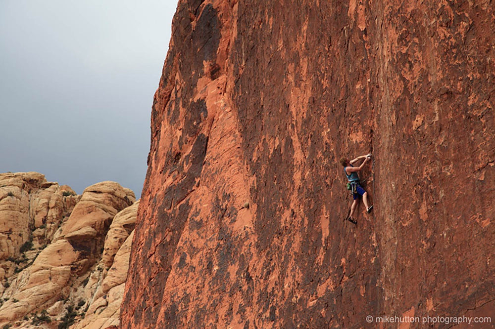 Team Member - Steve Dunning